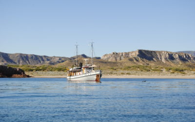 MV Westward Heading South To Baja | Pacific Catalyst